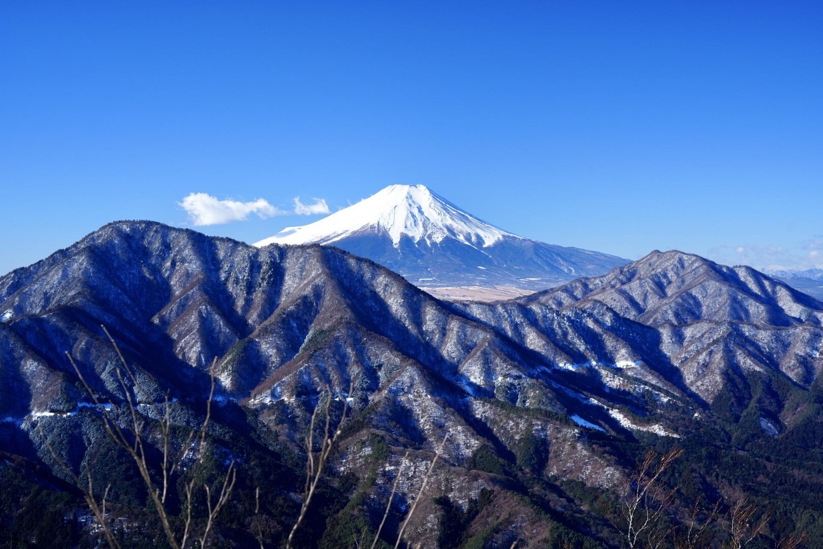 今倉山・赤岩・道志二十六夜山 / ma-sa-kiさんの倉岳山・高畑山・九鬼山の活動日記 | YAMAP / ヤマップ