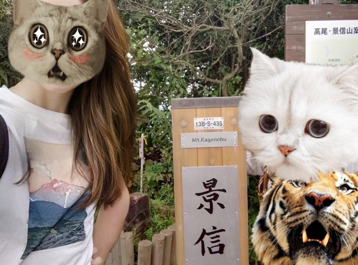 景信山 / Shishiさんのモーメント | YAMAP / ヤマップ