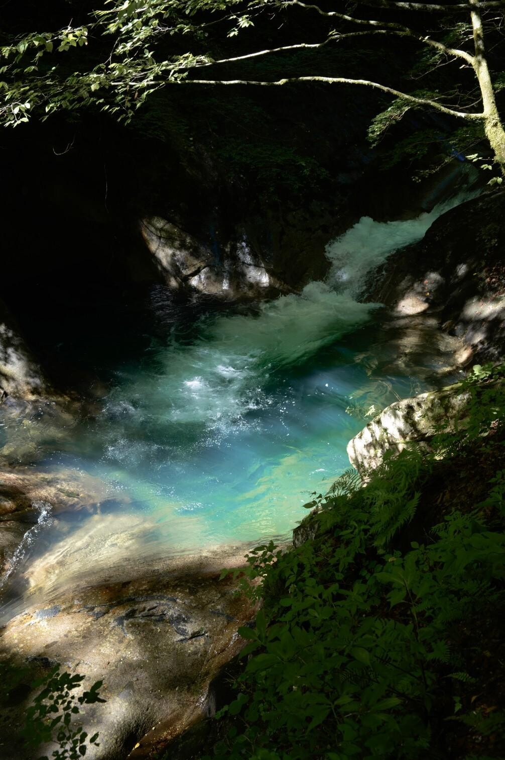 西沢渓谷にまた来た / vlog_tottiyさんのウォーキングの活動データ | YAMAP / ヤマップ