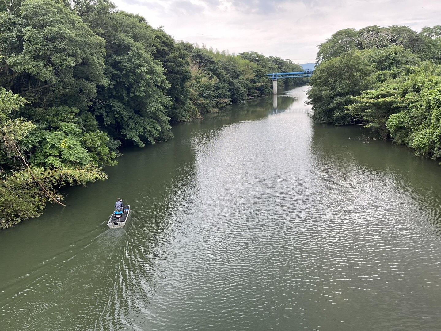 夏をあきらめて🥹 / Kumagoro さんの茶臼山・万灯山の活動データ | YAMAP / ヤマップ