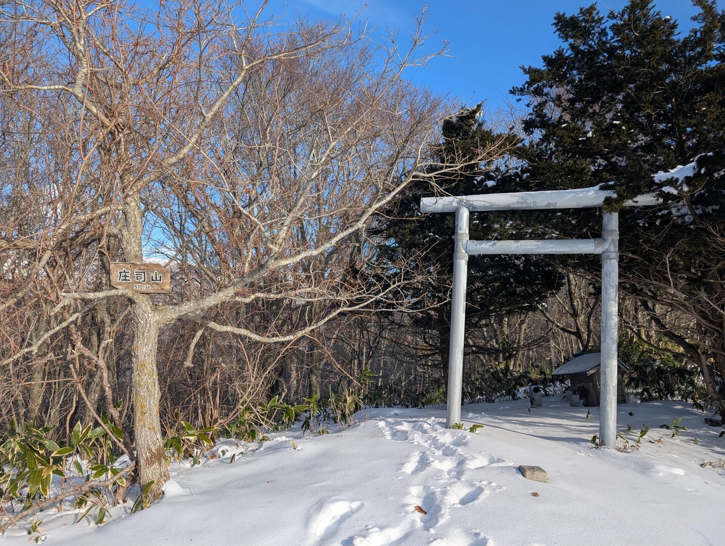 庄司山 / Mommaさんの庄司山の活動データ | YAMAP / ヤマップ