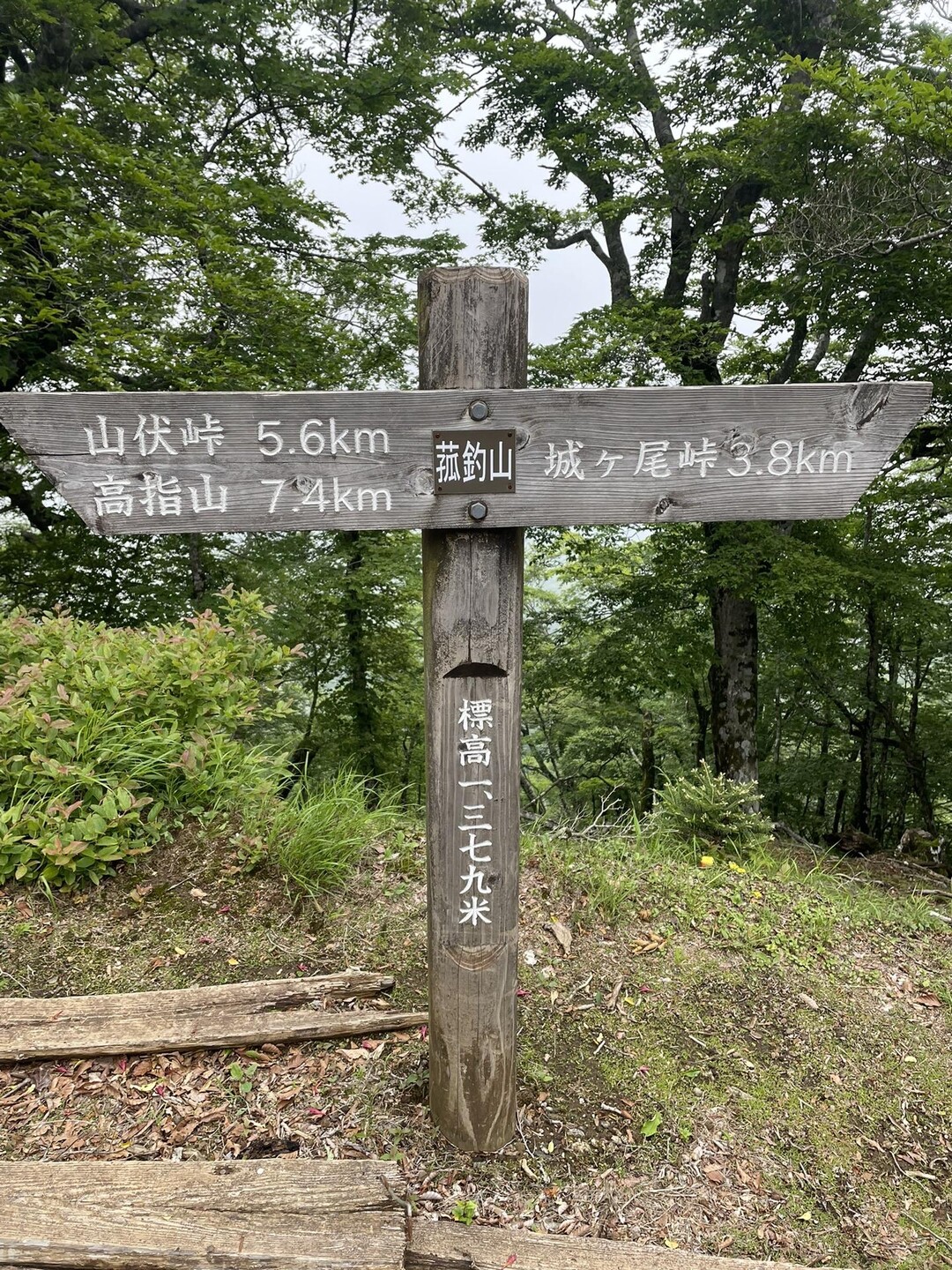 鳥ノ胸山→菰釣山 / ichao( ｰ̀дｰ́)وさんのウォーキングの活動データ | YAMAP / ヤマップ