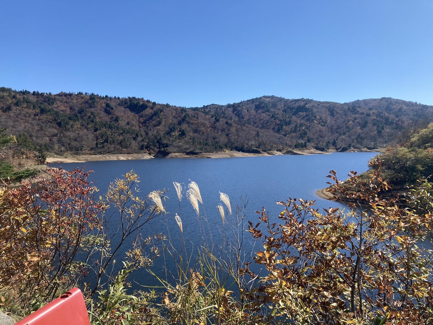 小口川、亀谷一周22-10-20 / 3110.sさんのサイクリングの活動データ | YAMAP / ヤマップ