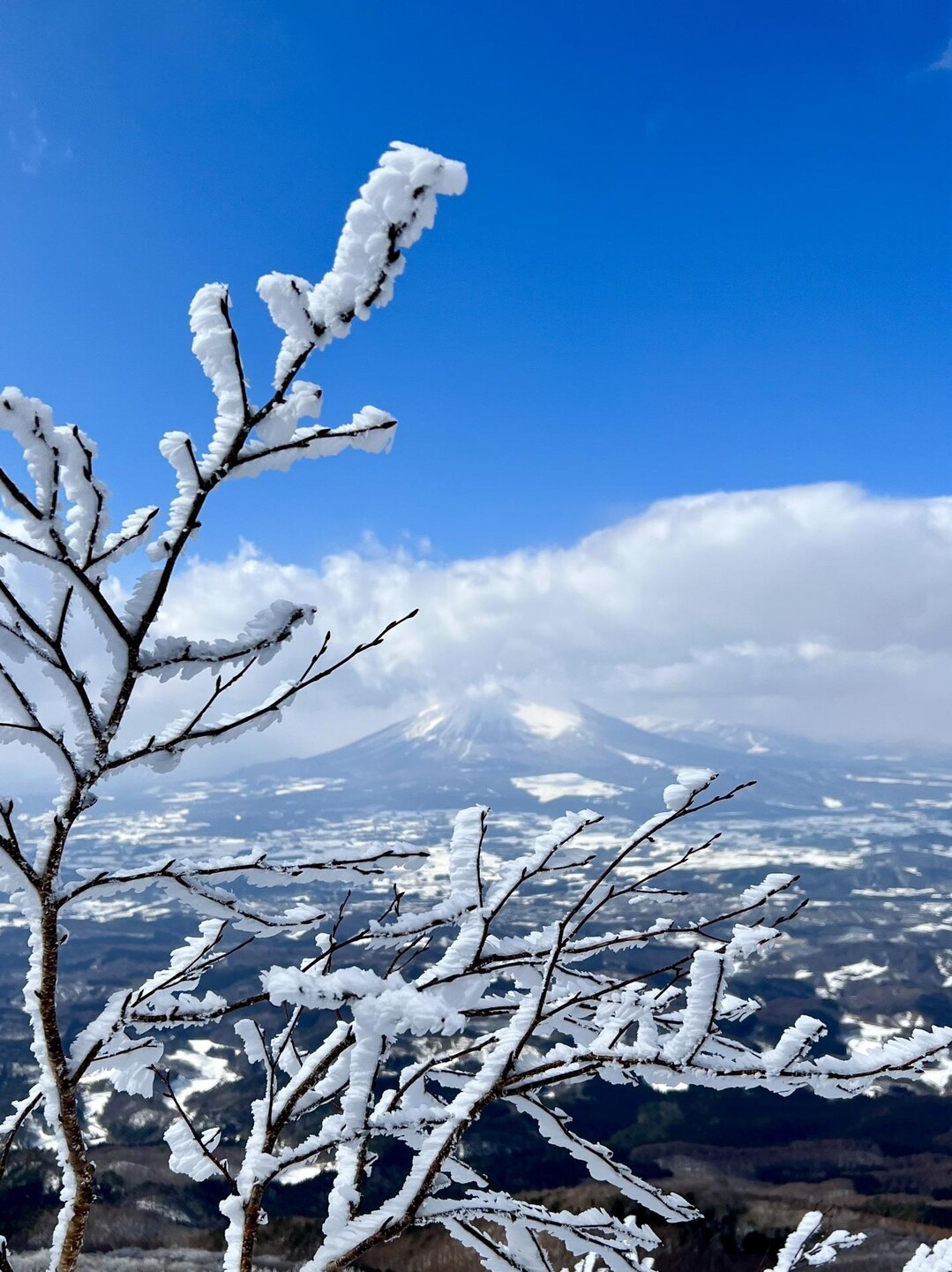 姫神山 / Rayさんの姫神山の活動データ | YAMAP / ヤマップ