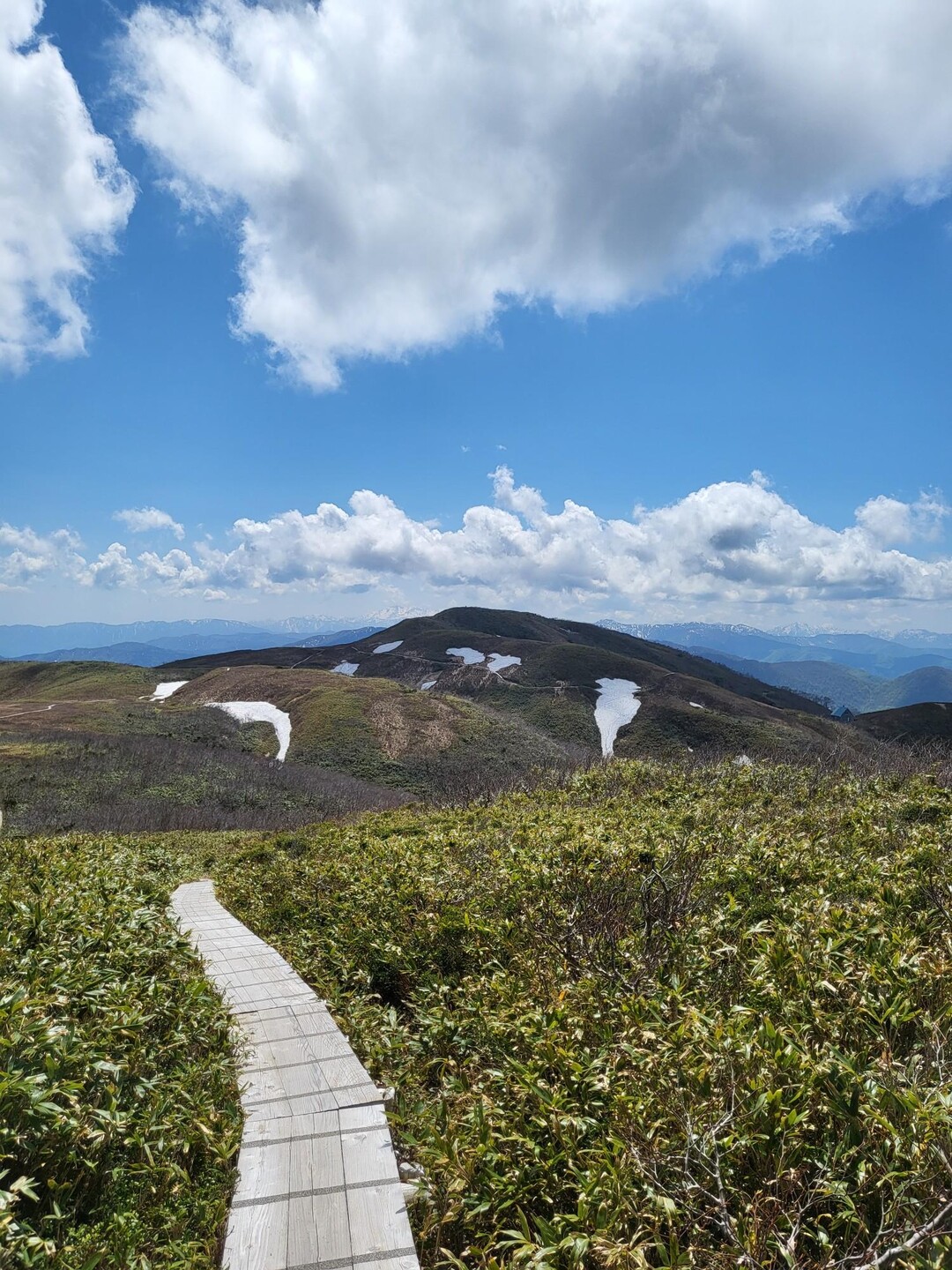 白木峰 / montanaさんの白木峰・小白木峰の活動データ | YAMAP / ヤマップ