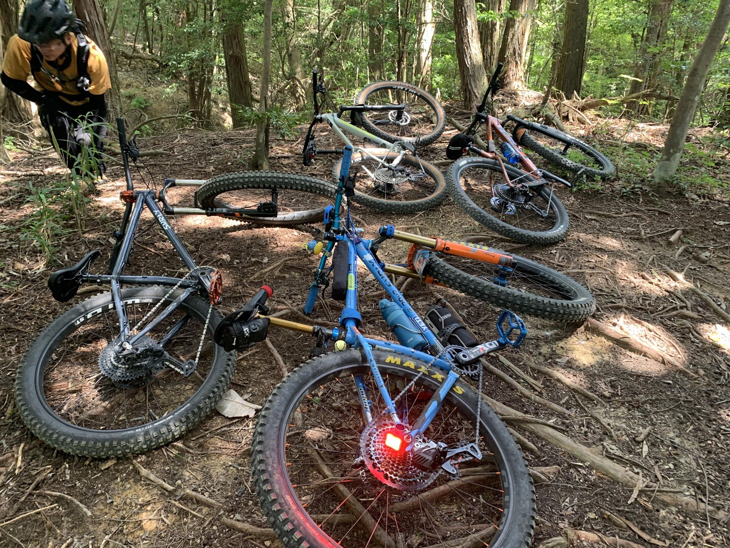 MTB de FanTrail / pirosikiさんの登山の活動データ | YAMAP / ヤマップ