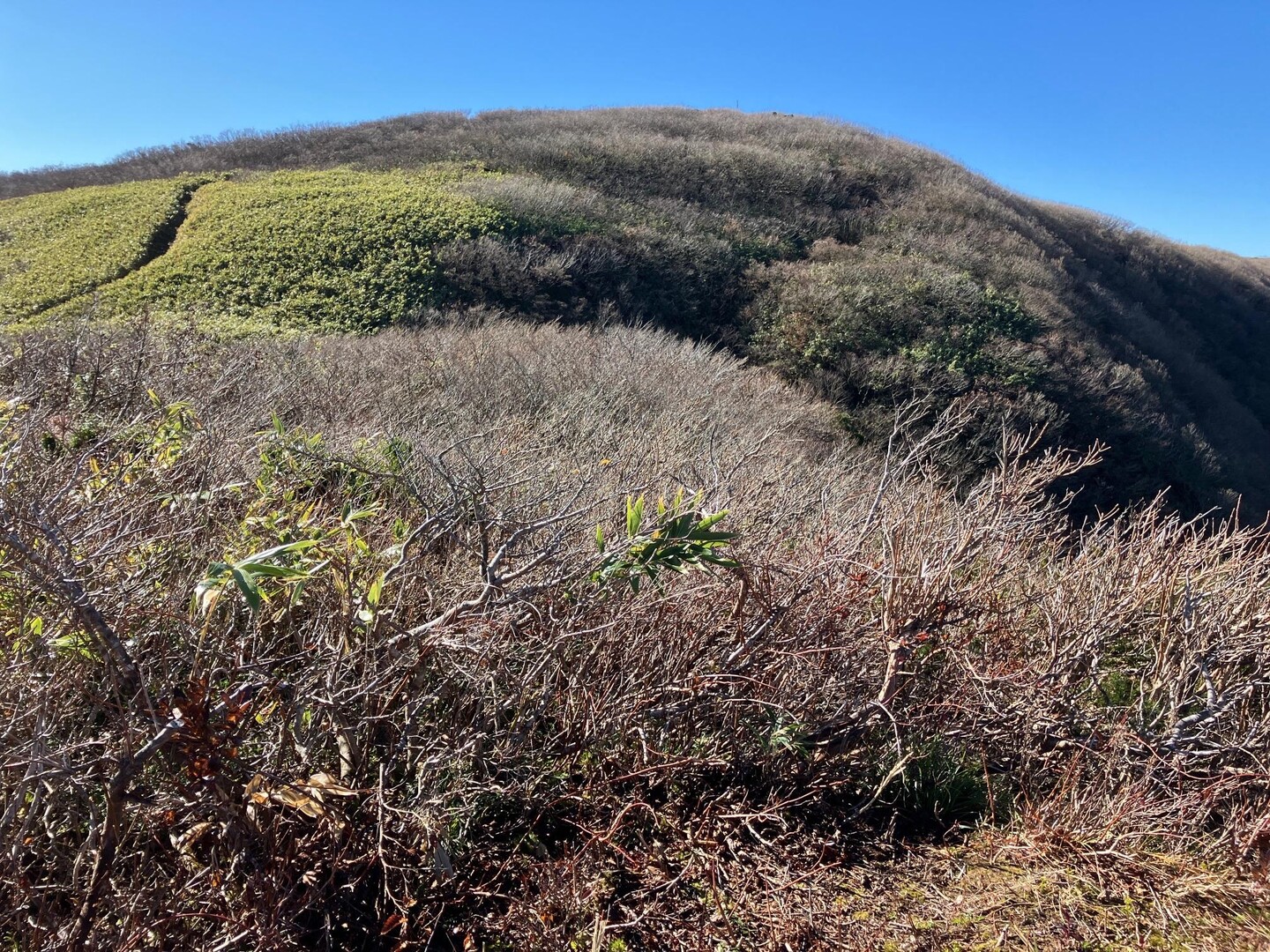 銀杏峯 / sono_01さんの銀杏峰・部子山の活動データ | YAMAP / ヤマップ