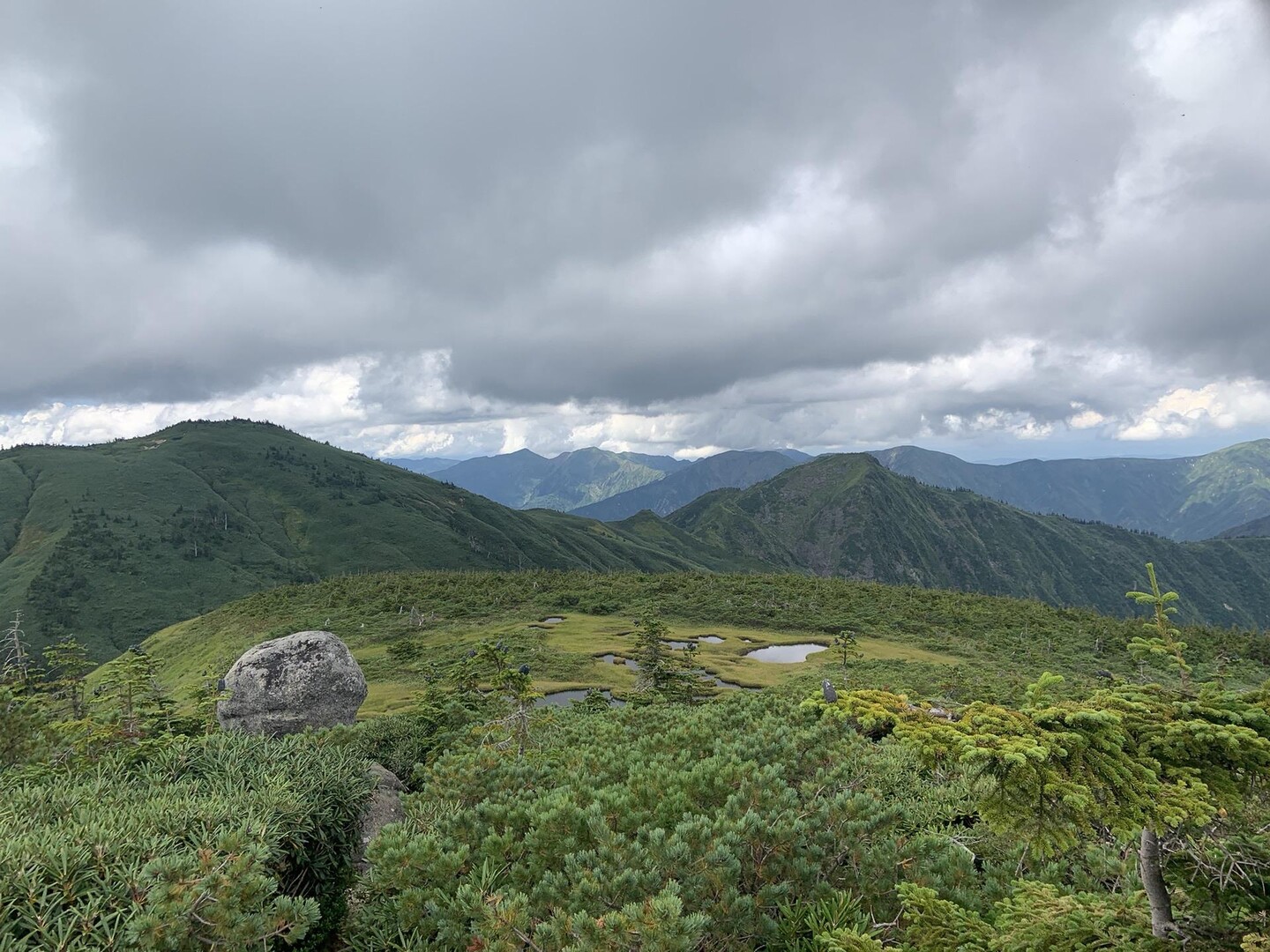 平ヶ岳 / mini.TMKさんの平ヶ岳・台倉山・池ノ岳の活動データ | YAMAP / ヤマップ