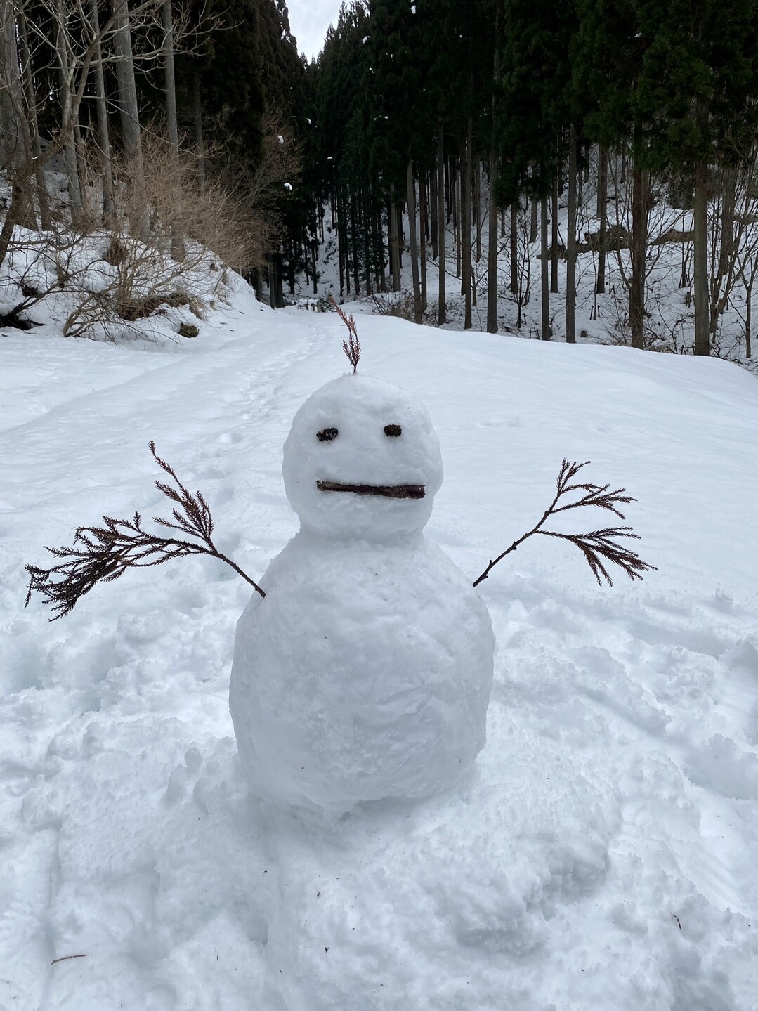 雪像〜^ ^ たまには童心で‼️ / TKR&Dさんのモーメント | YAMAP / ヤマップ