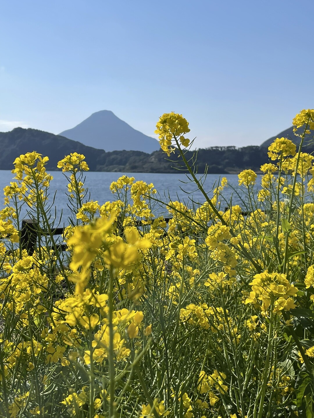 2月4日の風景 / 山猿さんのモーメント | YAMAP / ヤマップ