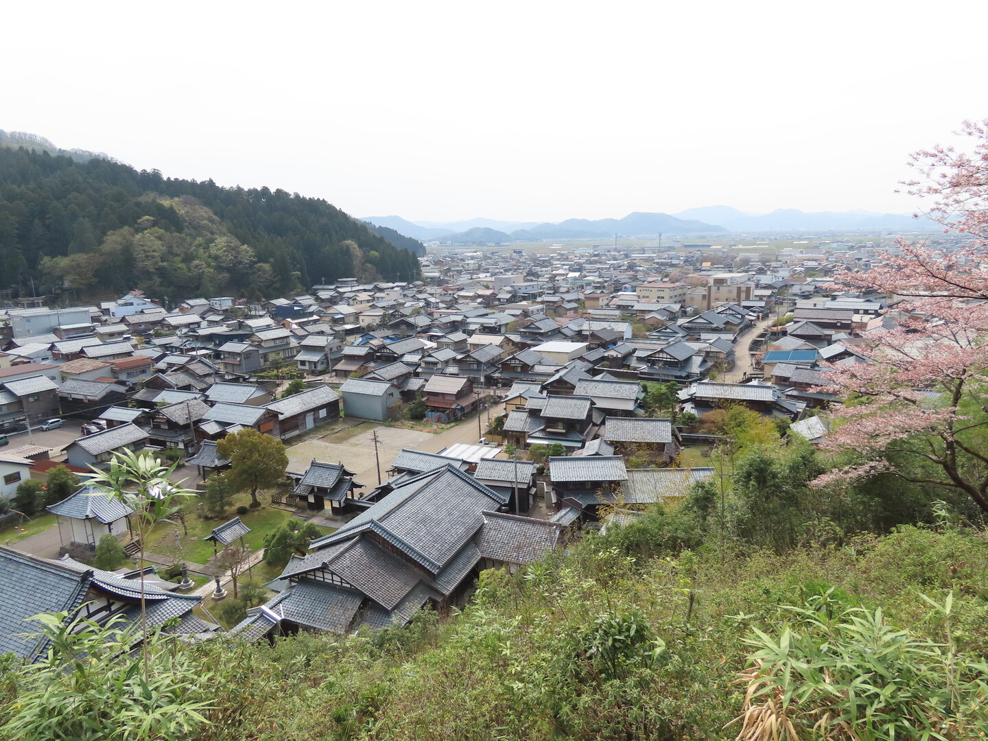お代りの 大徳山🤣 / Mr.slimさんの大徳山の活動日記 | YAMAP / ヤマップ