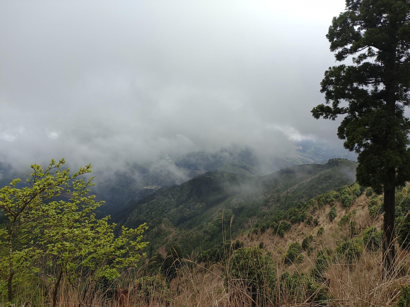 何とか降られず 浅間山・岳滅鬼山 / Mt.Keyさんの英彦山の活動データ | YAMAP / ヤマップ
