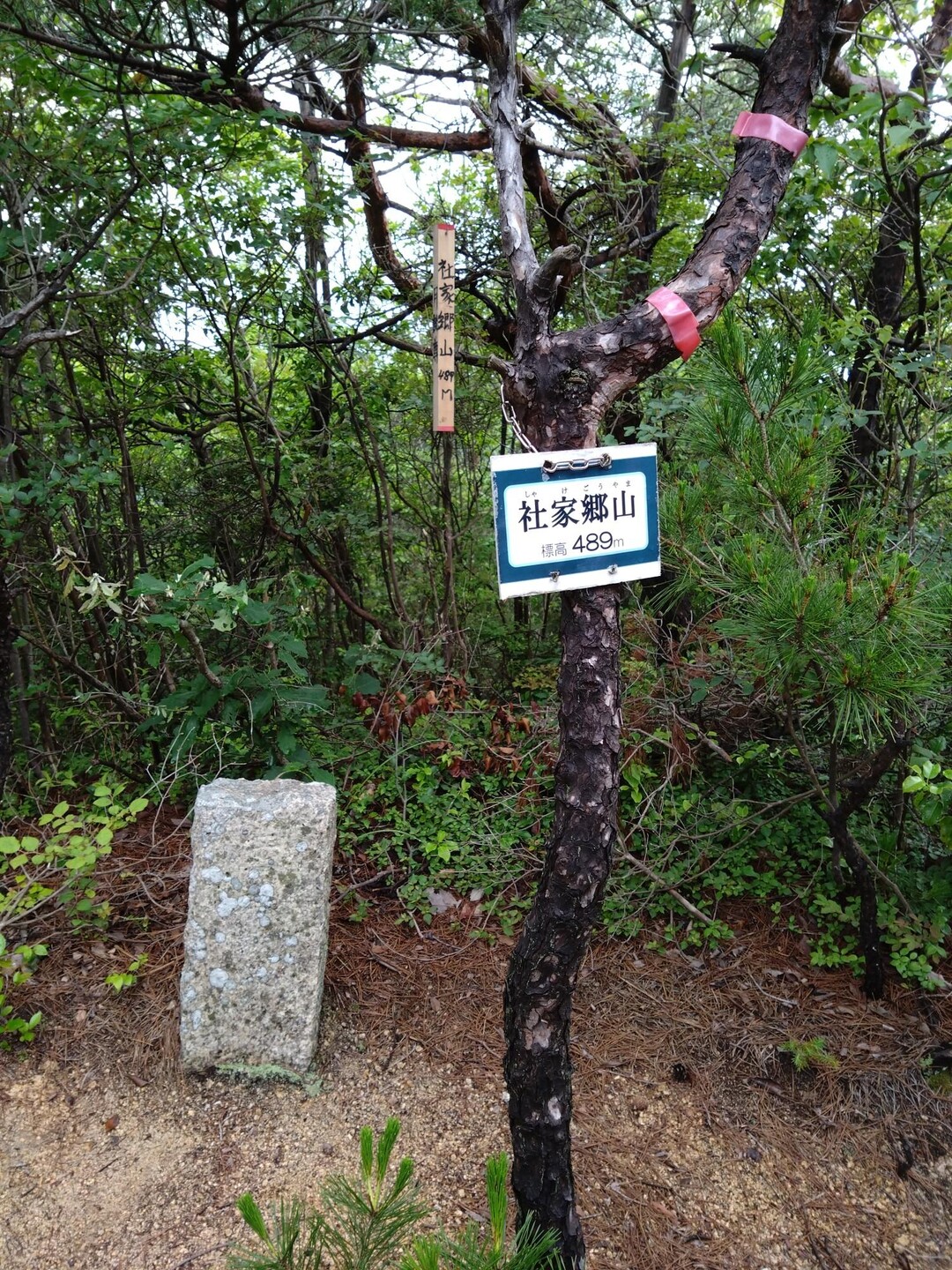 社家郷山・小笠峰・行者山 / Nhさんの六甲山・長峰山・摩耶山の活動データ | YAMAP / ヤマップ