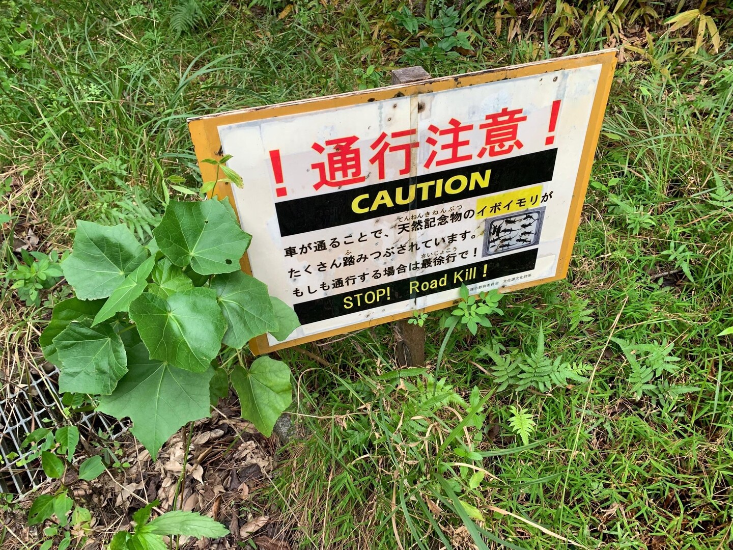 HALさんの投稿したフィールドメモ | YAMAP / ヤマップ