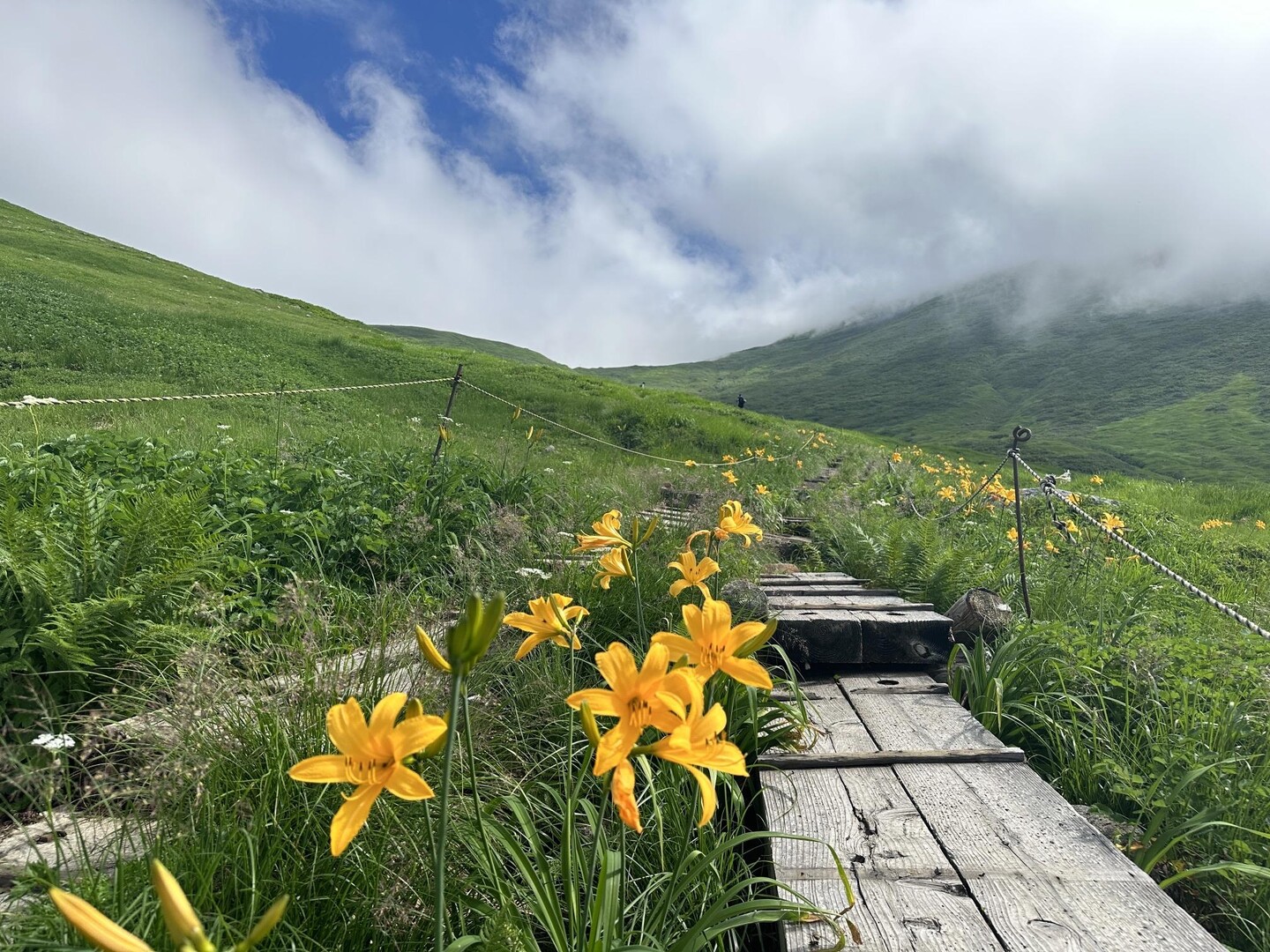 日本縦走126〜128日目 月山 / やまこさんの月山の活動データ | YAMAP / ヤマップ