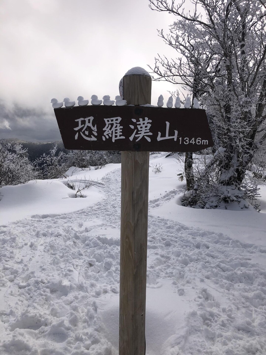 恐羅漢山 / neroliさんの恐羅漢山の活動データ | YAMAP / ヤマップ