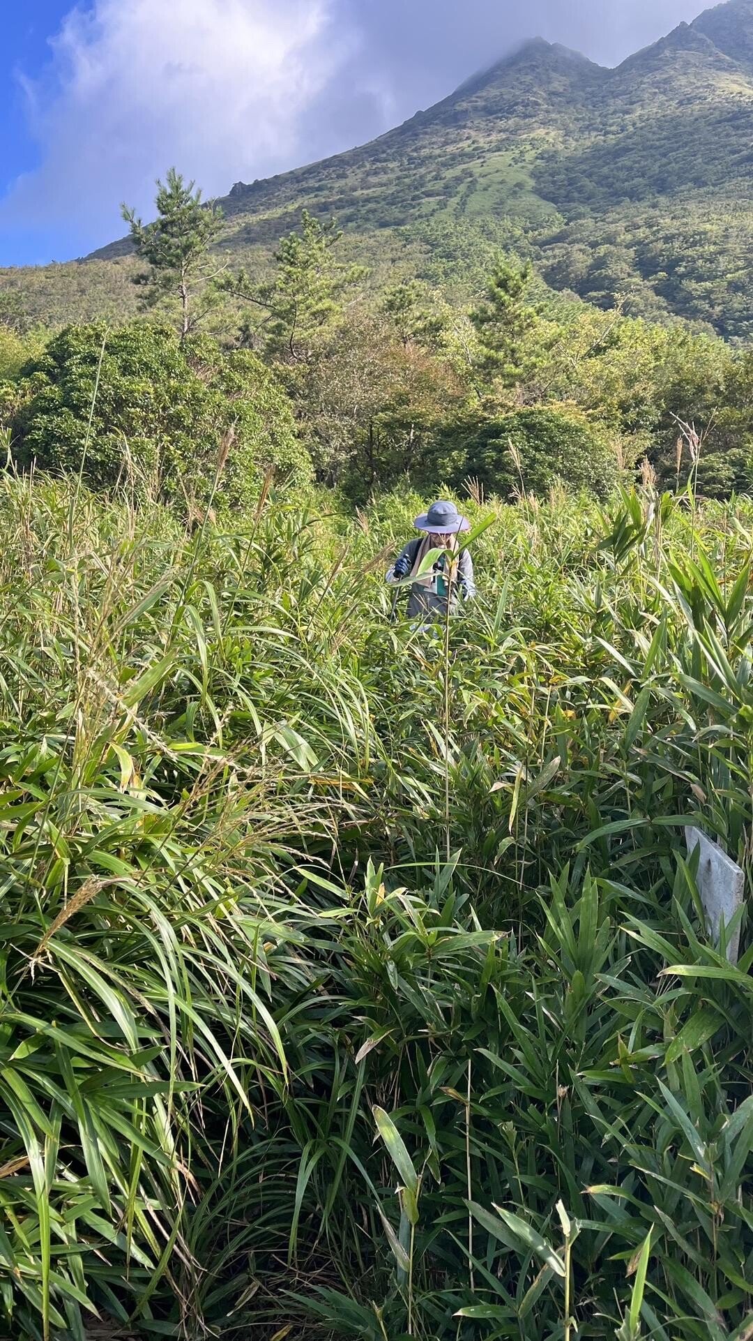 fumiさんの投稿したフィールドメモ | YAMAP / ヤマップ