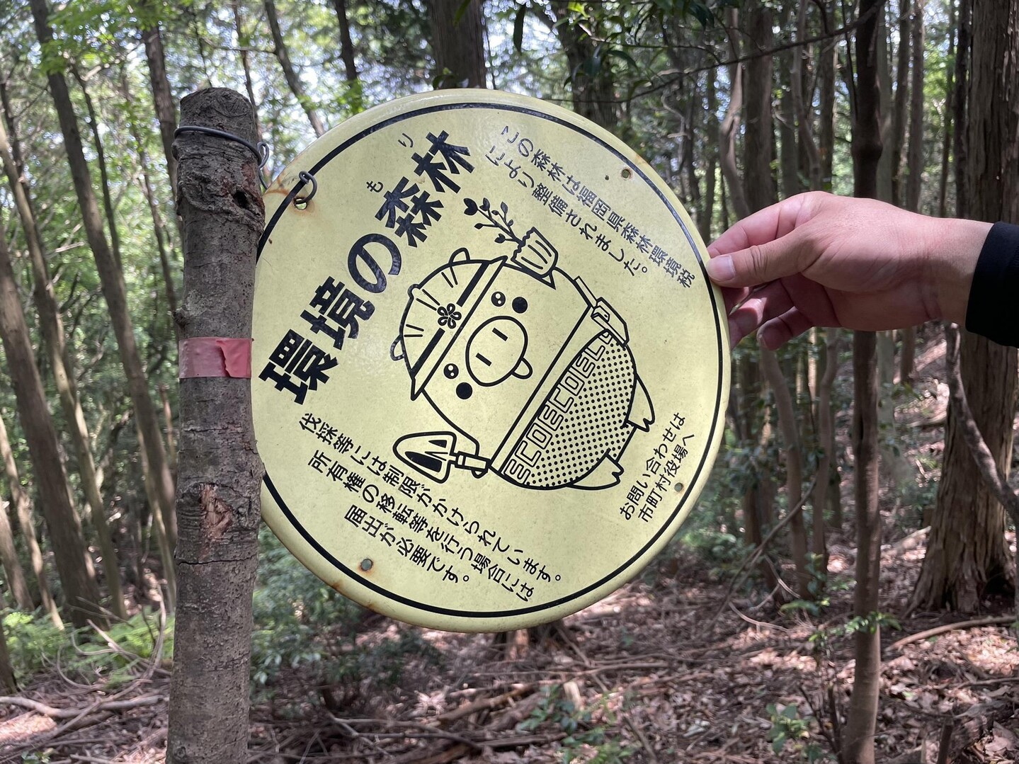 牛頸ハイカー🐄ピーク宝石箱や / Re:けんさんの牛頸山・黒金山・観音山の活動データ | YAMAP / ヤマップ