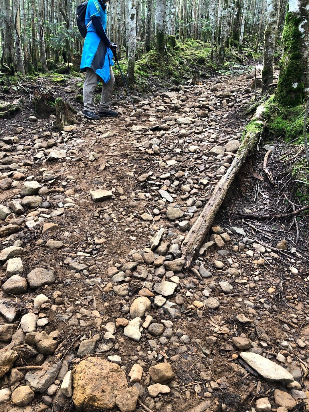 Nosukeさんの投稿したフィールドメモ | YAMAP / ヤマップ