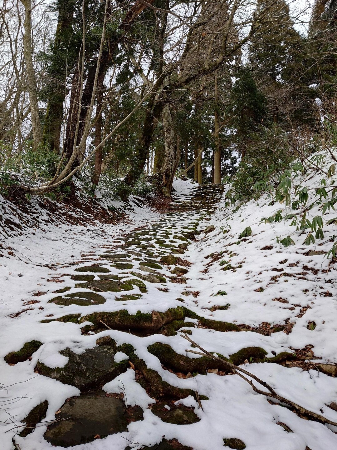 石動山 / kit-yさんの石動山・七尾城山・碁石ヶ峰の活動データ | YAMAP / ヤマップ
