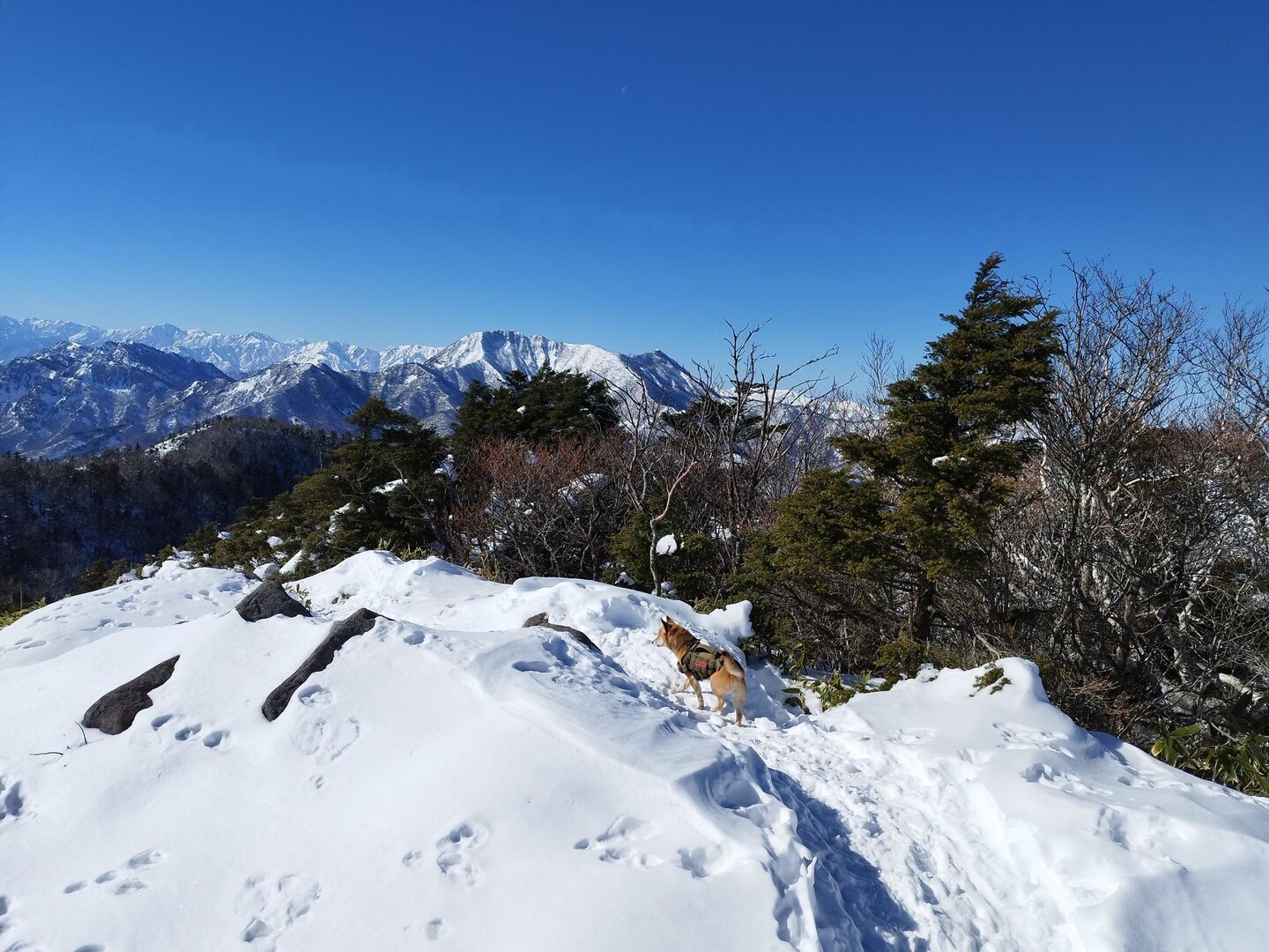 黒姫山🏔️今日の景色ヤバっ😆😻 / mi-koさんの黒姫山の活動データ | YAMAP / ヤマップ