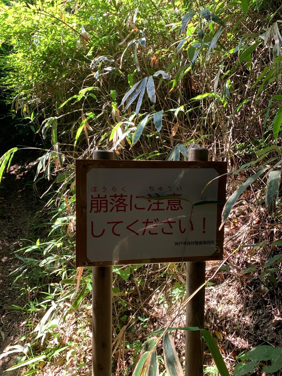 hikkyさんの投稿したフィールドメモ | YAMAP / ヤマップ