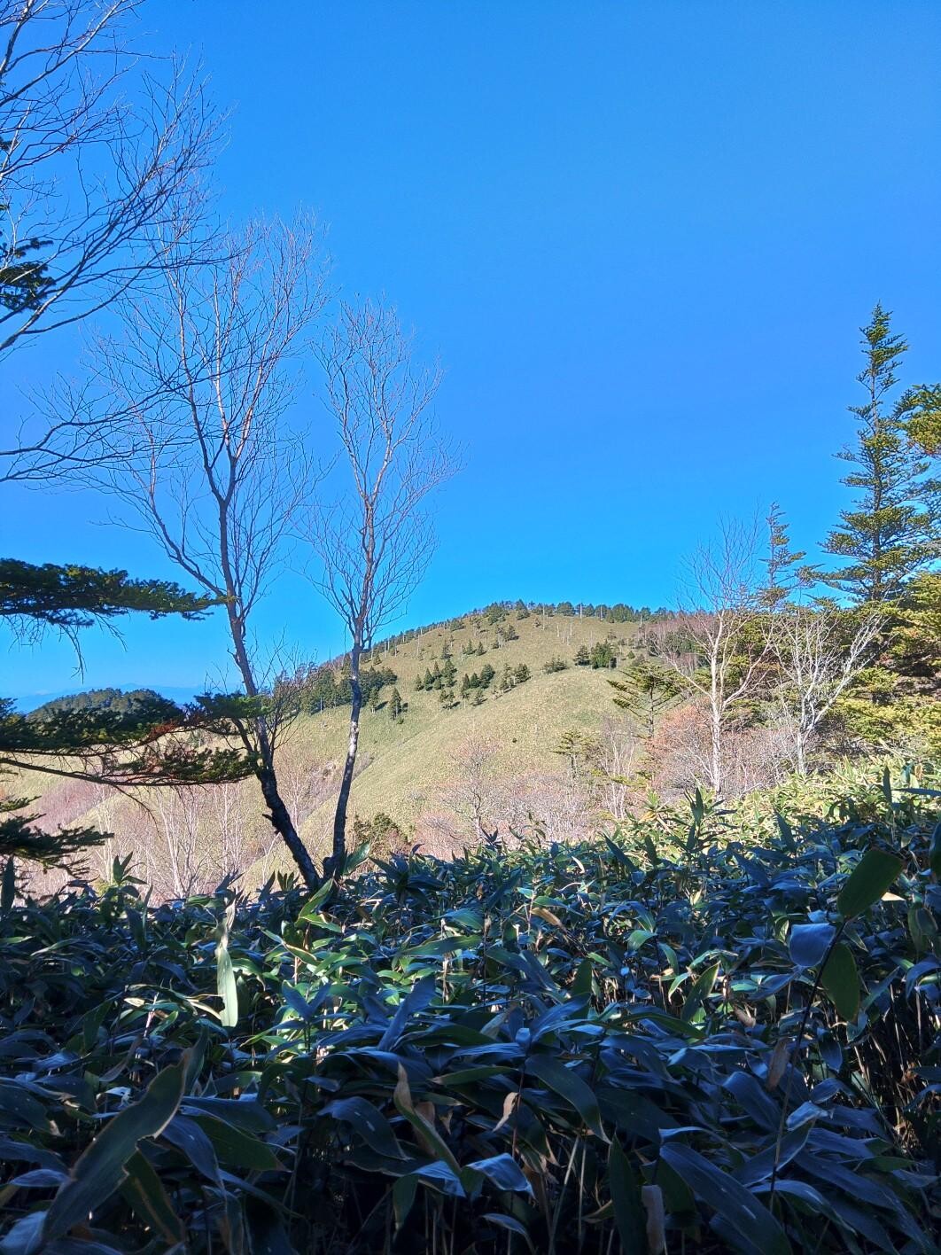 焼山 / FOKさんの焼山の活動データ | YAMAP / ヤマップ