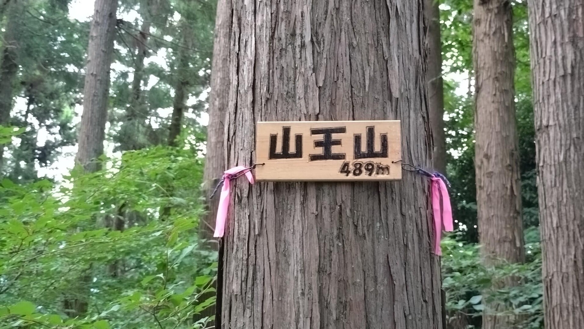 山王山 / mt.8ninさんの高尾山・陣馬山・景信山の活動データ | YAMAP / ヤマップ