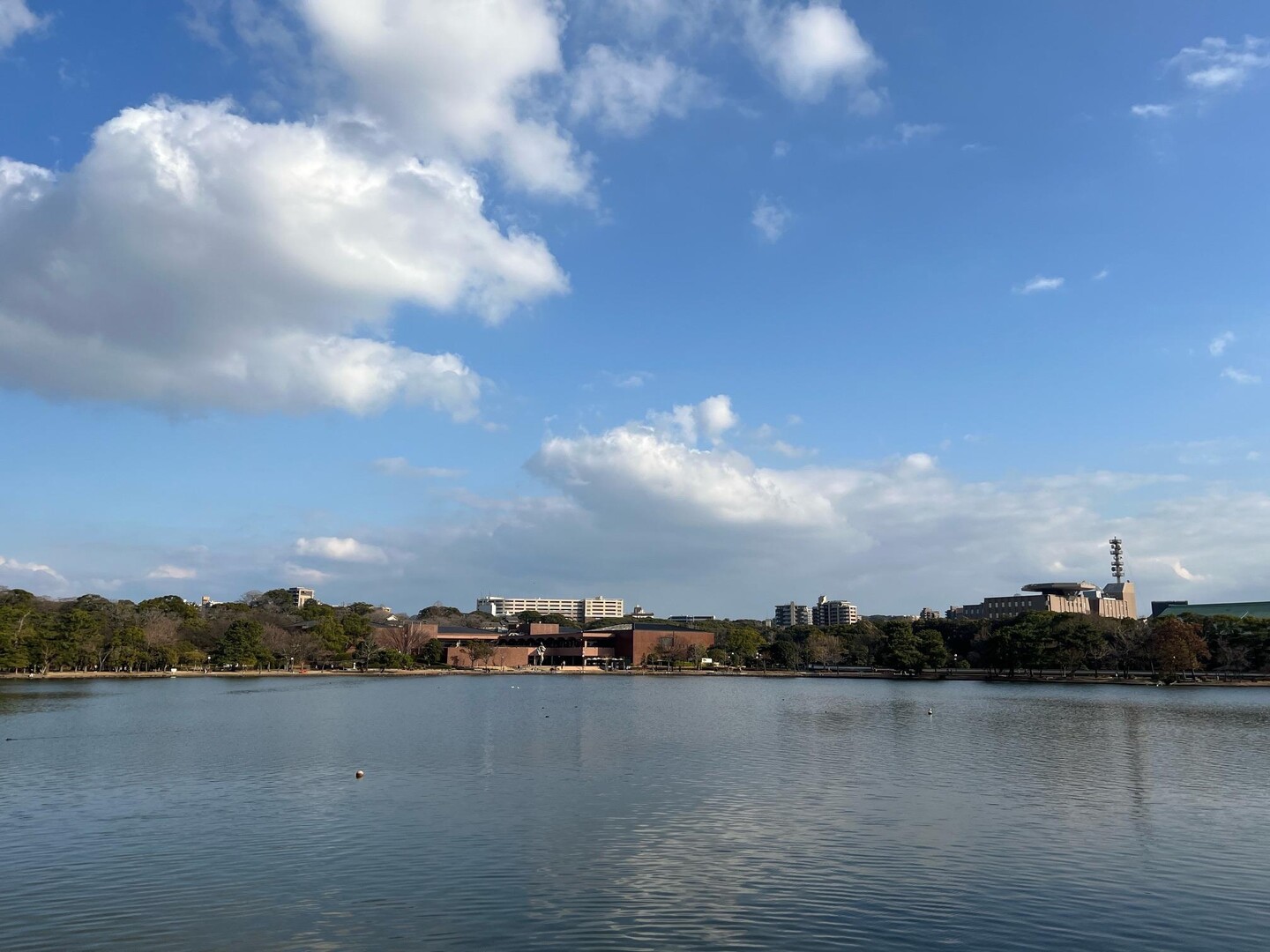 NALUさんぽ de 荒津山 / 愛宕山【21】 / NALUさんの高祖山・飯盛山・叶岳の活動データ | YAMAP / ヤマップ