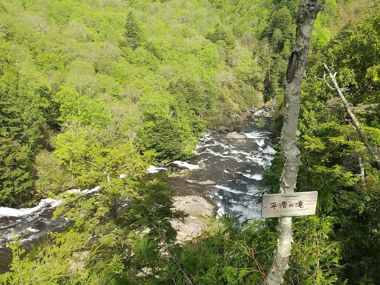 Guestさんの投稿したフィールドメモ | YAMAP / ヤマップ