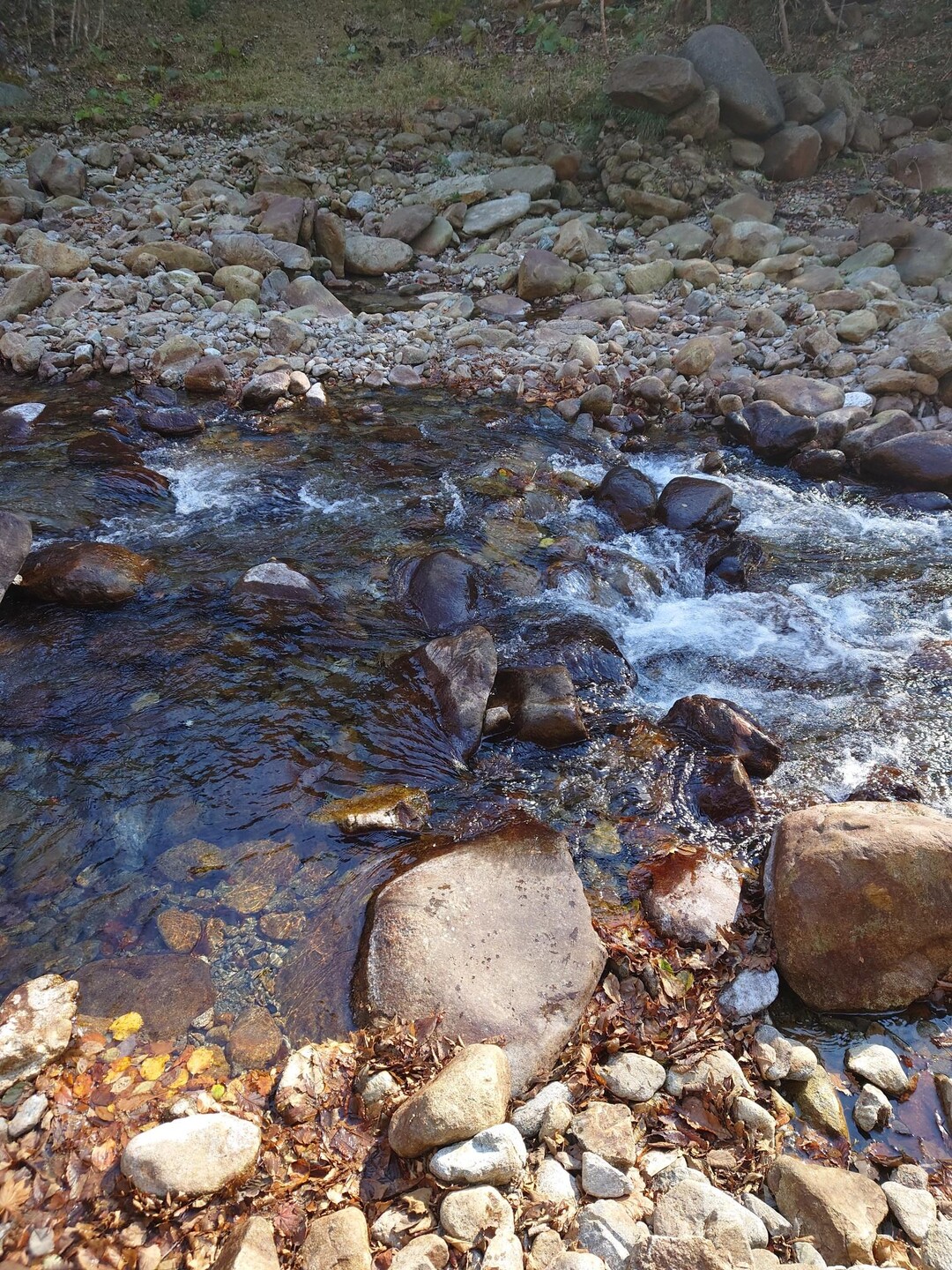 ARUさんの投稿したフィールドメモ | YAMAP / ヤマップ