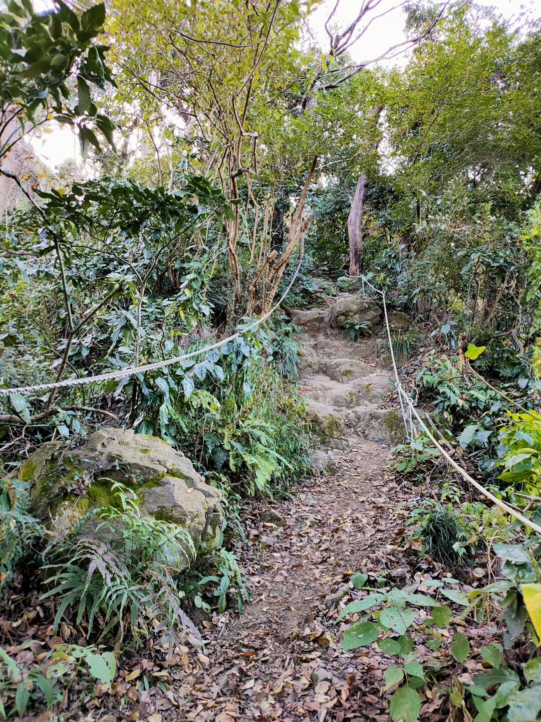 Mamincoさんの投稿したフィールドメモ | YAMAP / ヤマップ