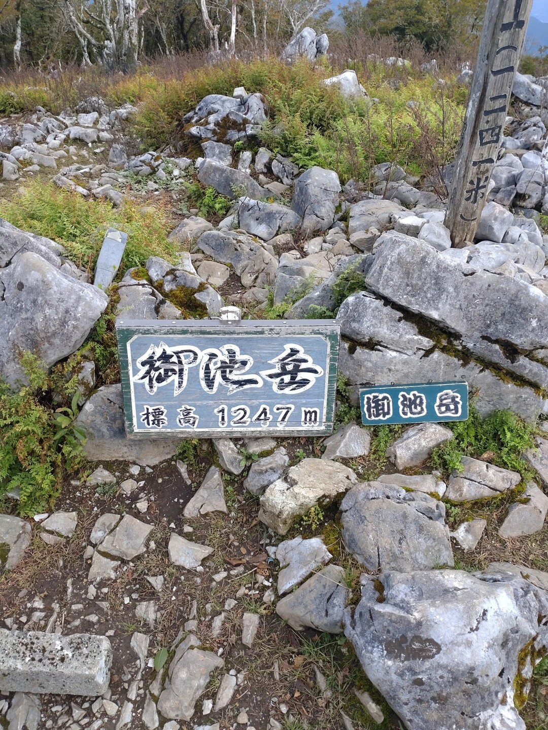 御池岳・鈴北岳 / ks104478さんの藤原岳・御池岳の活動データ | YAMAP / ヤマップ