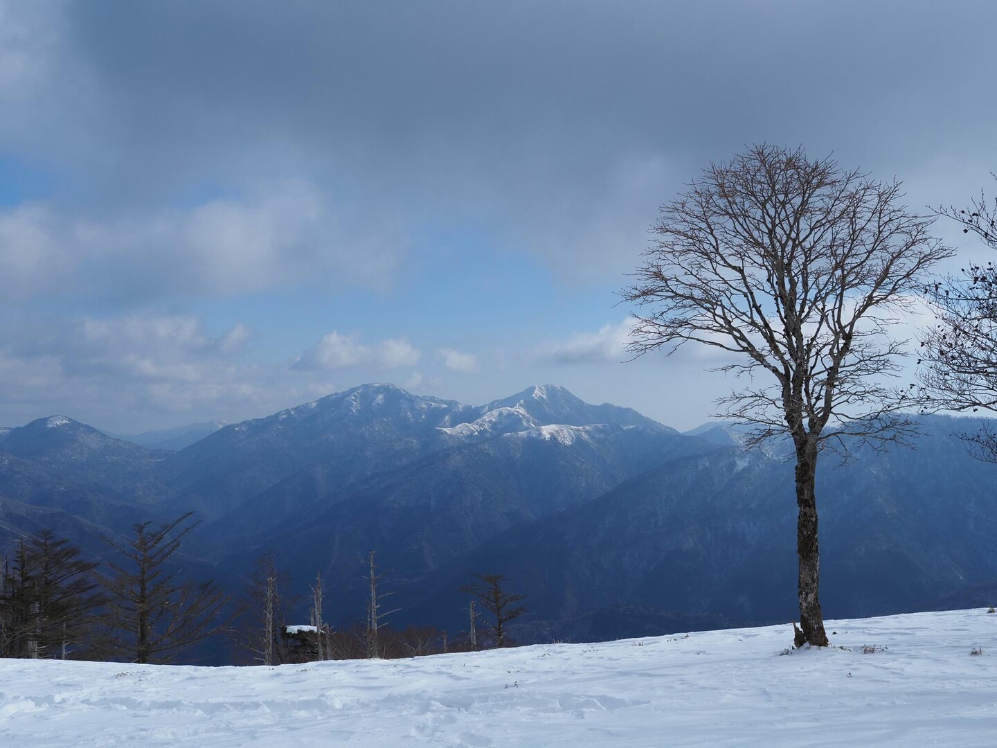 今年の登り始めは三嶺 / S.Kitaさんの三嶺・天狗塚・石立山の活動データ | YAMAP / ヤマップ