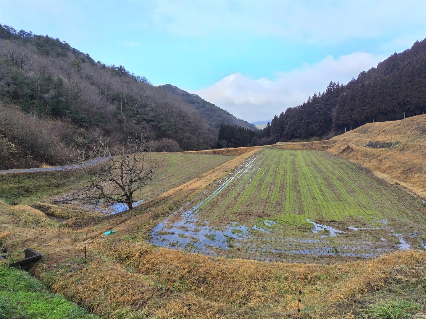 シンプルにピークハント〜四天蓋山 / mipotさんの比婆山・立烏帽子山・吾妻山の活動データ | YAMAP / ヤマップ