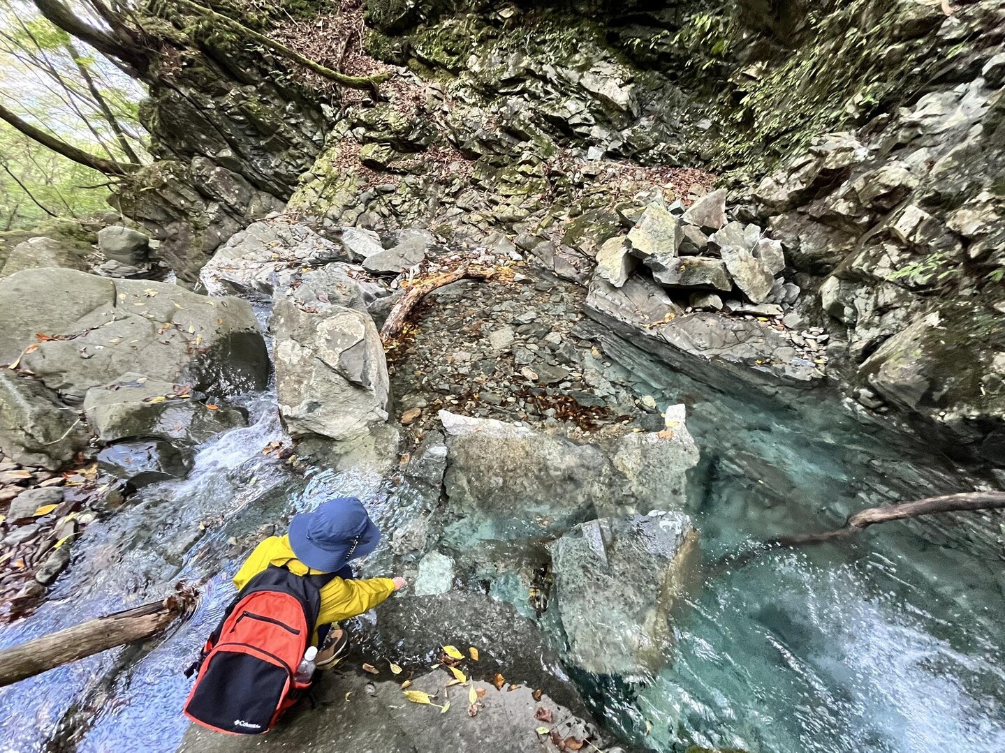 毛無山（三角点）・毛無山（最高点） / Gar.7さんの毛無山・雨ヶ岳・竜ヶ岳の活動データ | YAMAP / ヤマップ