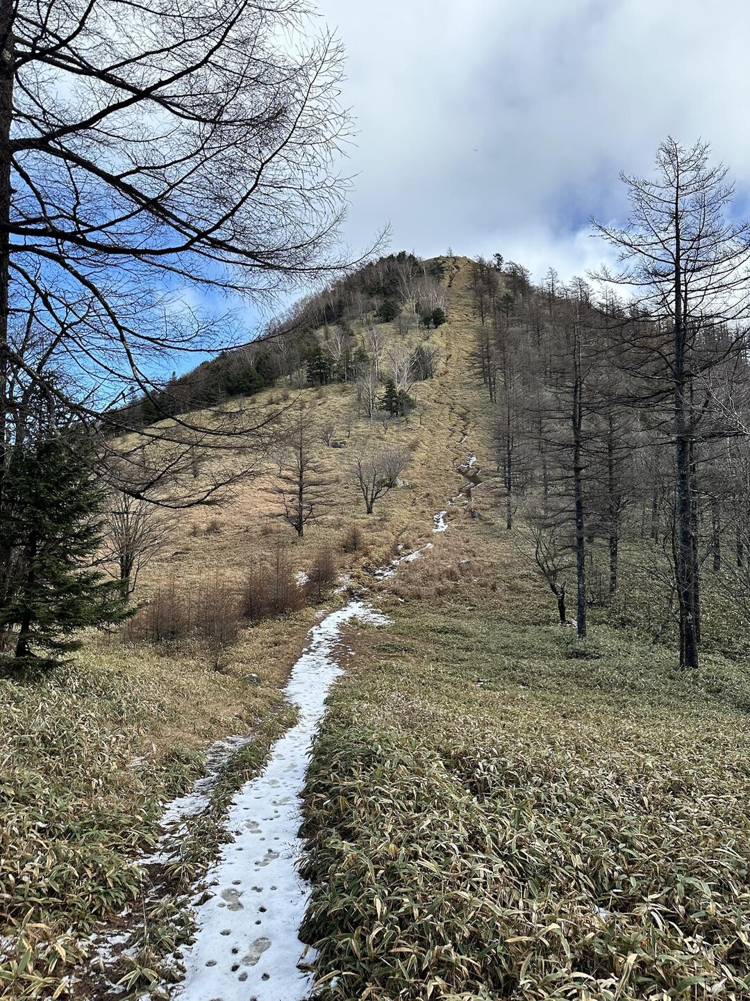笠取山 / maさんの和名倉山・笠取山・東仙波の活動データ | YAMAP / ヤマップ