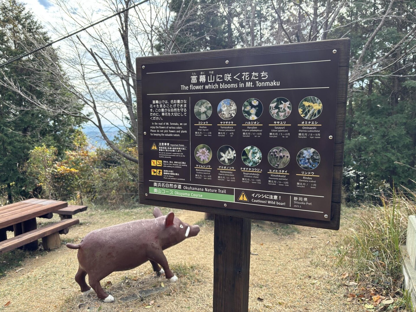 富幕山 / Soneqさんの富幕山・尉ヶ峰・竜ヶ石山の活動データ | YAMAP / ヤマップ