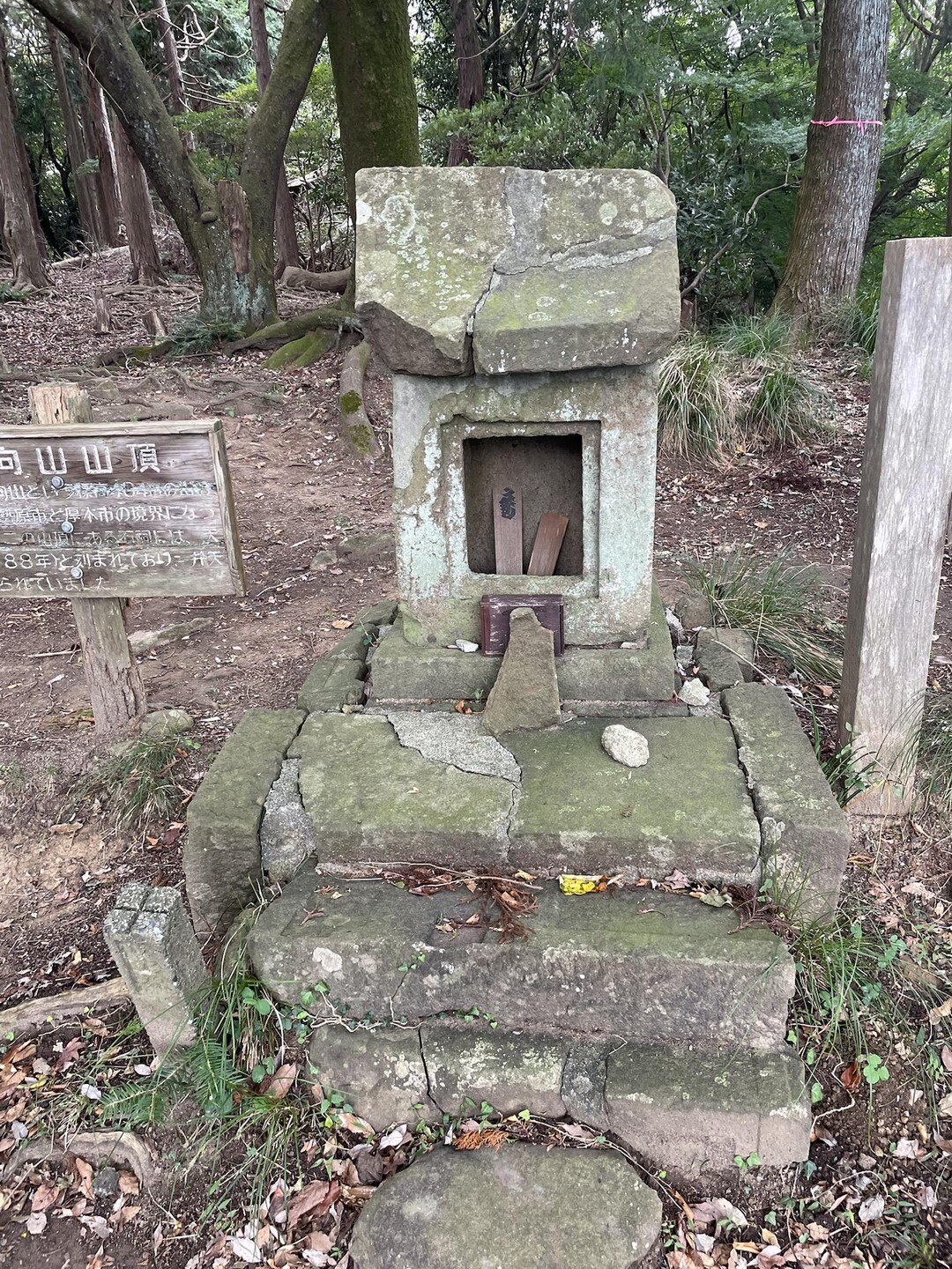 日向薬師バス停から日向山・見城山を経て馬場リハビリ入口バス停へ / s06007さんの大山の活動データ | YAMAP / ヤマップ