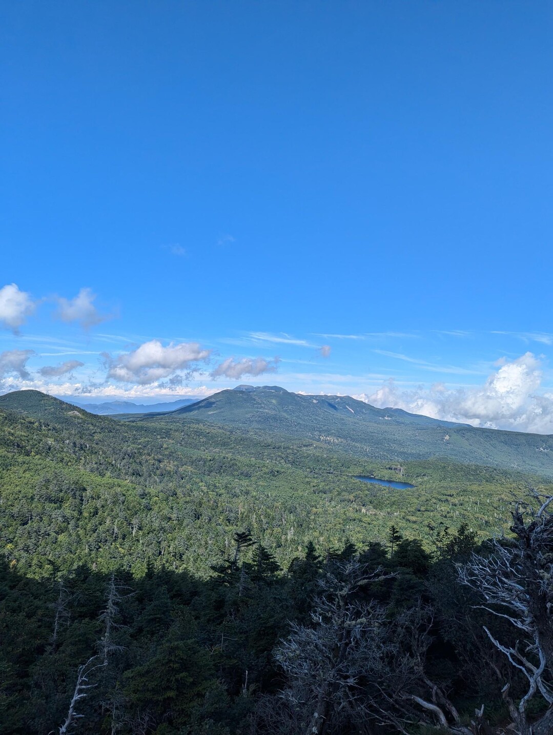 グループ山行 / 小1息子とニュウ・中山へ。 / Kei.parkさんの八ヶ岳（赤岳・硫黄岳・天狗岳）の活動データ | YAMAP / ヤマップ