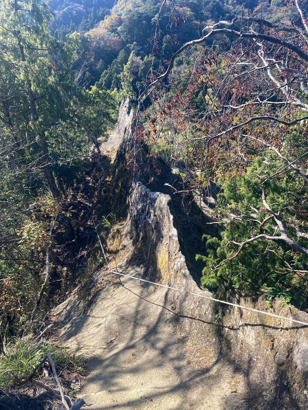 junさんの投稿したフィールドメモ | YAMAP / ヤマップ