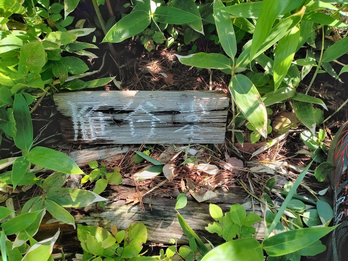 雁谷三山 / Haruさんの黒菱山・初雪山・負釣山の活動データ | YAMAP / ヤマップ