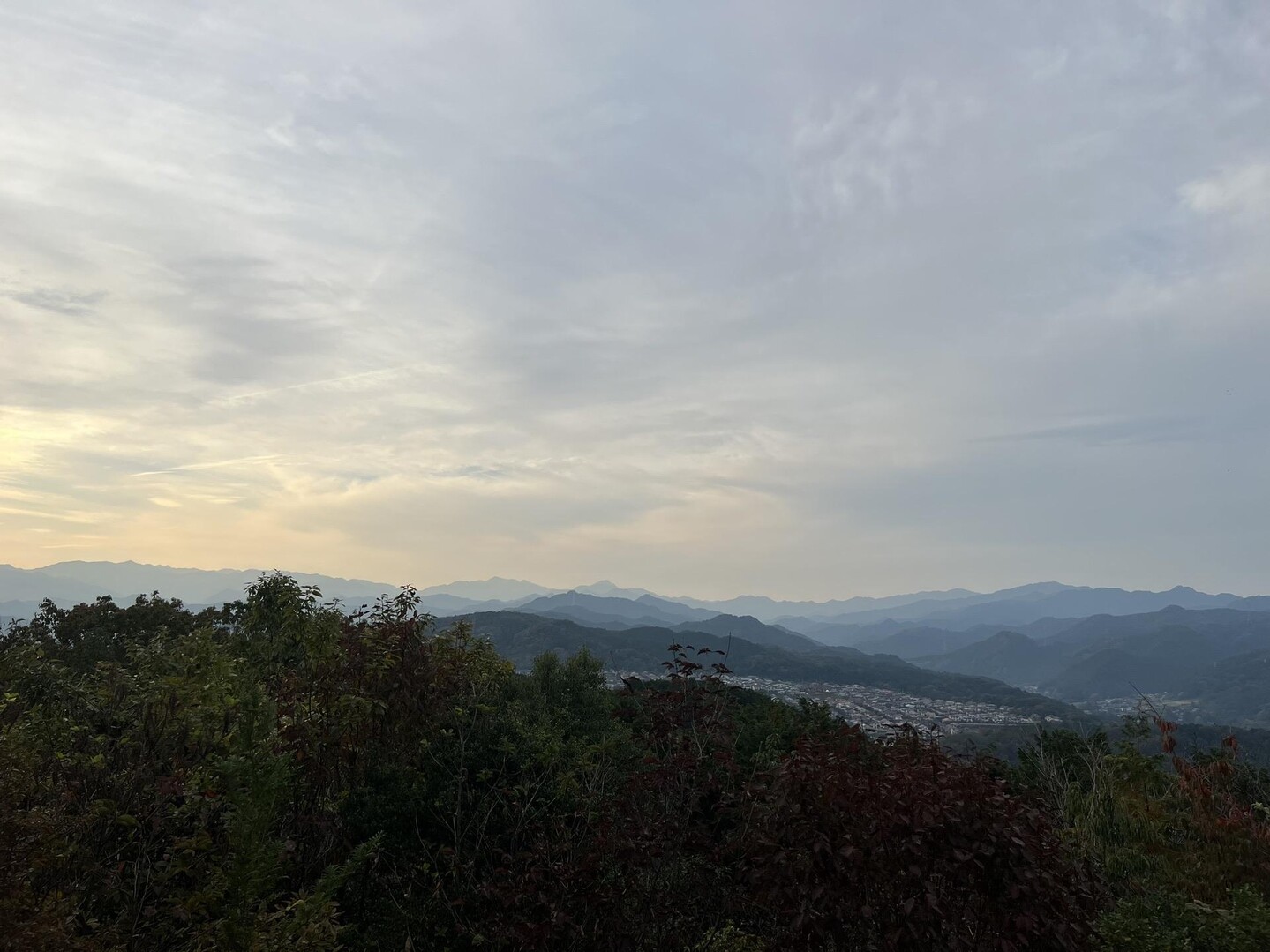 天覧山・多峯主山 / sakさんの天覧山・多峯主山・天覚山の活動データ | YAMAP / ヤマップ