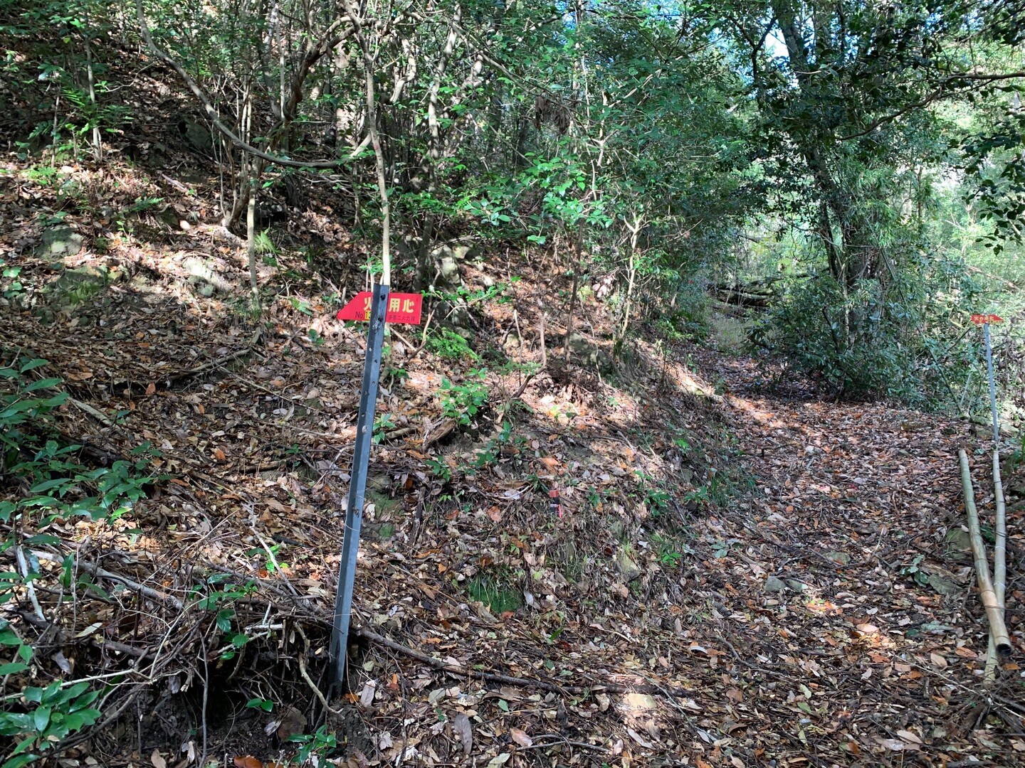 greenmoonきくちゃんさんの投稿したフィールドメモ | YAMAP / ヤマップ