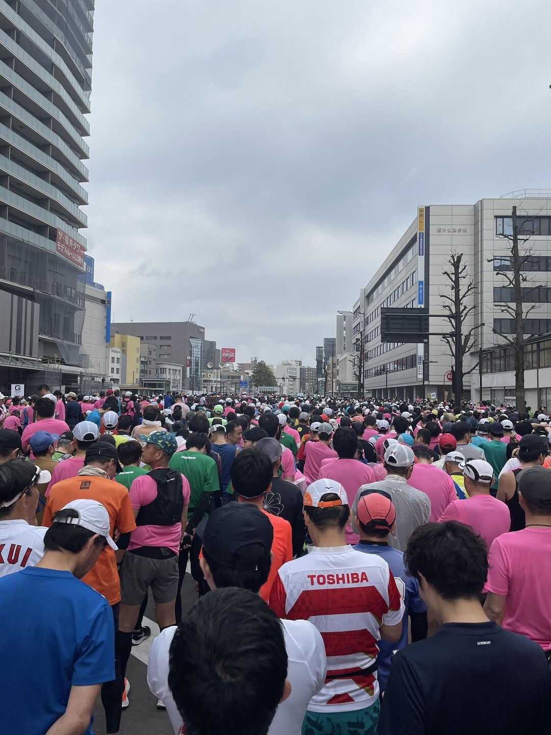 ふくい桜マラソン🌸2024 / BMさんのランニングの活動データ | YAMAP / ヤマップ