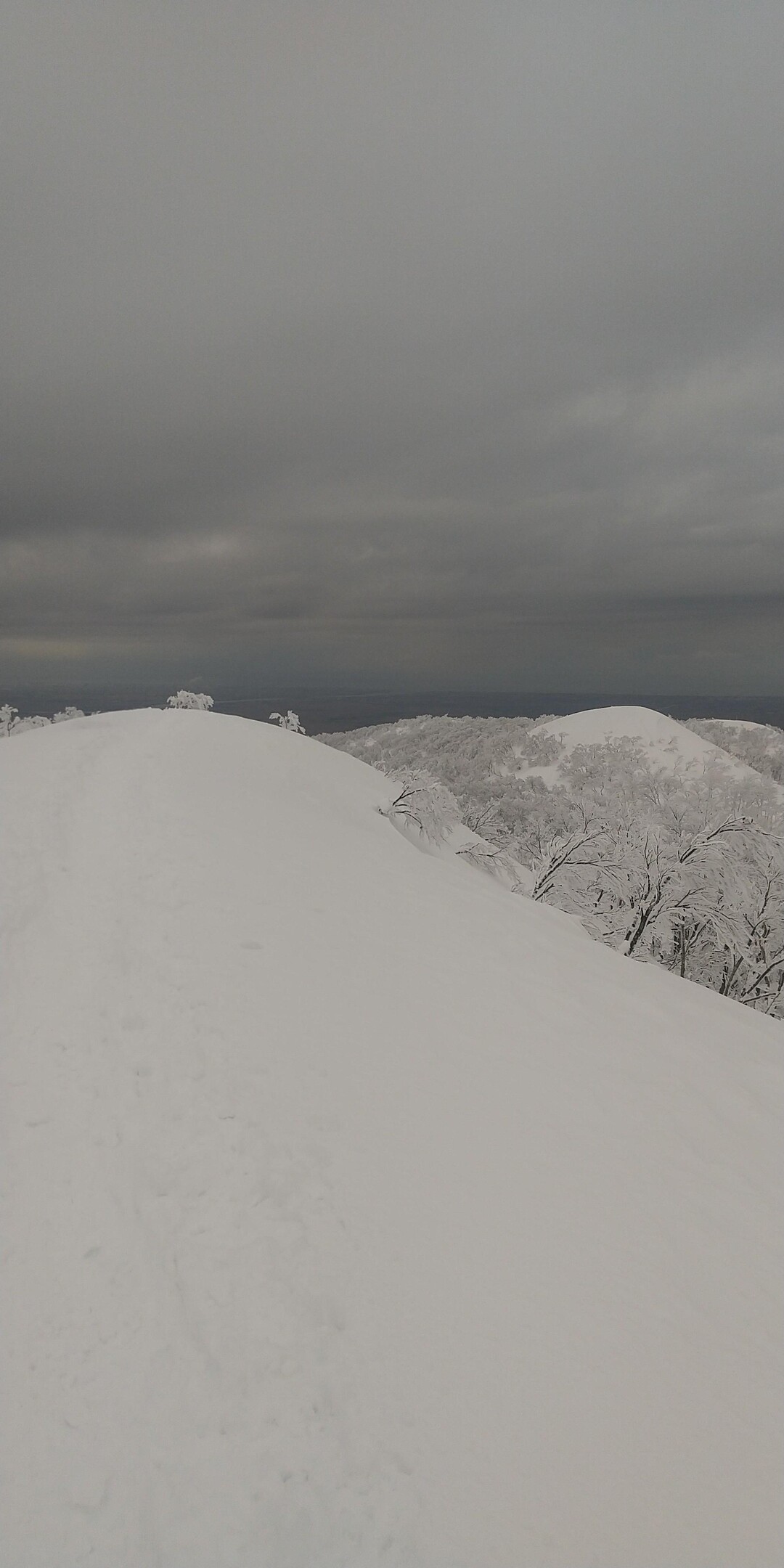 X'masの五頭山ヤマップ日記間違って削... / てっちゃんさんのモーメント | YAMAP / ヤマップ