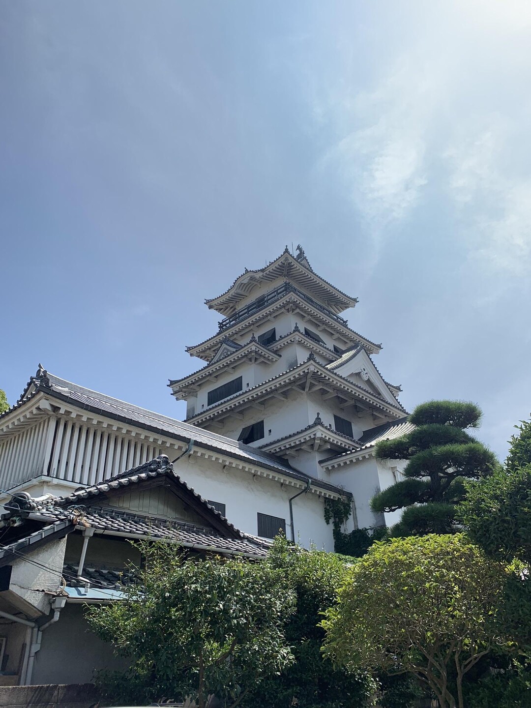 愛媛県にドライブに行かない？と 誘われ女... / nanaさんのモーメント | YAMAP / ヤマップ