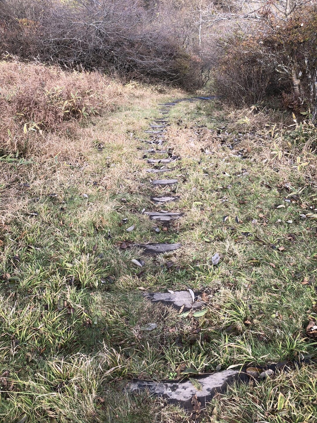 ykさんの投稿したフィールドメモ | YAMAP / ヤマップ