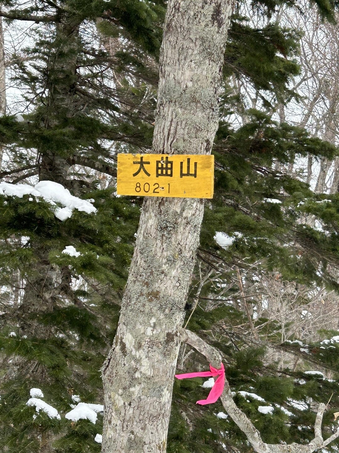 大曲山・800m峰 / のんさんの札幌岳・空沼岳の活動データ | YAMAP / ヤマップ