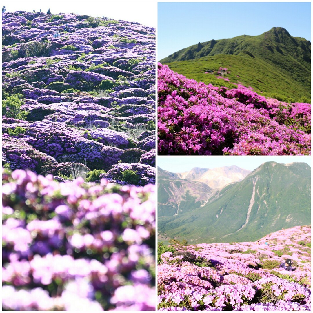 6/1～ YAMAP 九州オフ会･くじゅう版No.1のご案内 / kiyoさんの九重山（久住山）・大船山・星生山の活動日記 | YAMAP / ヤマップ